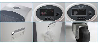 Cina precisione 138L/D Dehumidificatore personalizzato per magazzino seminterrato piscina serra in vendita