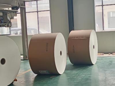 China O único PE de Oilproof revestiu a fluorescência de papel do rolo não para recipientes de alimento à venda