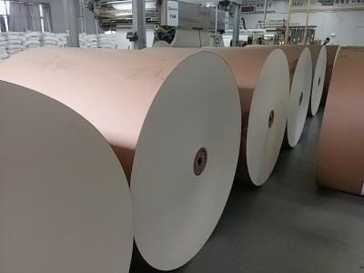 Cina Virgin Paper Cup Fan PE Coated Roll 150-320GSM Cup Stock Paper in vendita