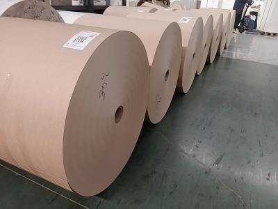 Cina Virgin Paper Cup Fan PE Coated Roll 150-320GSM Cup Stock Paper in vendita