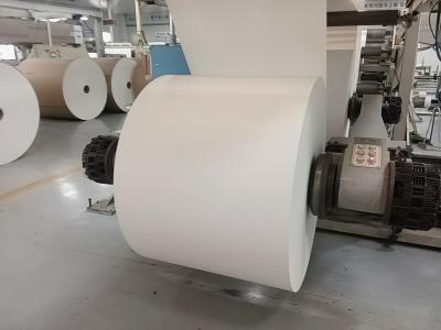 Cina Virgin Paper Cup Fan PE Coated Roll 150-320GSM Cup Stock Paper in vendita