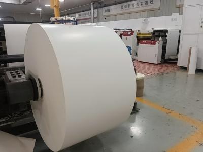 Cina Virgin Paper Cup Fan PE Coated Roll 150-320GSM Cup Stock Paper in vendita