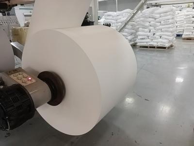 Cina Virgin Paper Cup Fan PE Coated Roll 150-320GSM Cup Stock Paper in vendita