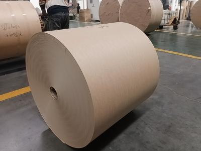 China 150-320GSM PE Coated Paper Roll Cup Sock Cup Paper SGS Certified Te koop