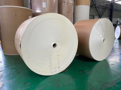 China Single Wall PE Coated Paper Roll 350+12g Paper Cup Raw Material for sale
