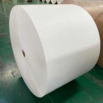 Ντυμένο έγγραφο PE κύπελλων 150+10g σαλάτας στο ρόλο 2600mm πλάτος εξελίκτρων