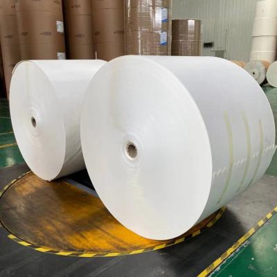 Cina Il PE dell'insalatiera 150+10g la carta patinata di larghezza della bobina del rotolo 2600mm in vendita