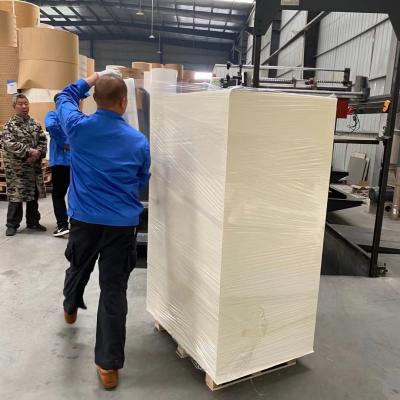 Cina Il cartone lucido di carta bianco dello strato 135g della tazza 140g riveste Eco amichevole in vendita