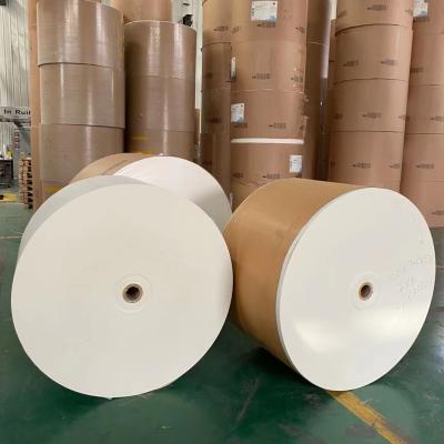 Cina Il PE di Brown 12gsm la materia prima della tazza di carta del centro del rotolo 152mm di carta patinata in vendita