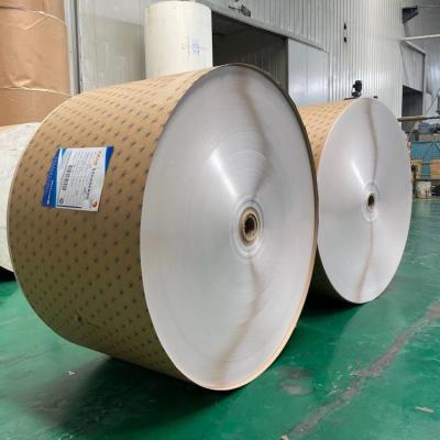 Cina La carta patinata impermeabile eliminabile 320gsm per rende a PE la tazza di carta patinata in vendita