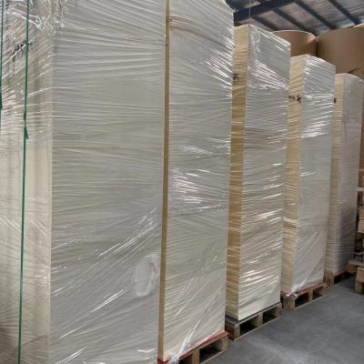 China PE van 12g 15g 18g Grondstof voor Document Kop Productie wordt vereist die Te koop