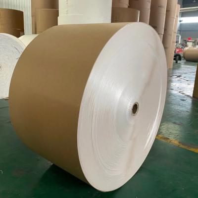 China 18G dubbele PE Met een laag bedekt Document het Voedselrang van de Broodjes Goede Stijfheid Te koop