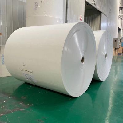 Cina 280G materia prima di carta di carta enorme di derivazione della tazza di tè del rotolo ECO in vendita
