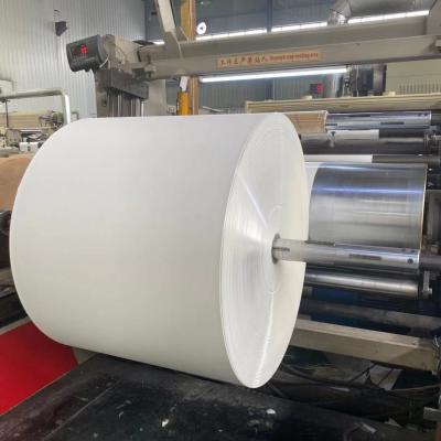 Cina 280G materia prima di carta di carta enorme di derivazione della tazza di tè del rotolo ECO in vendita
