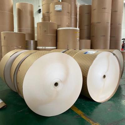Cina Carta patinata 1200mm del PE enorme di carta di Eco 300g in polpa meccanica chimica del rotolo in vendita