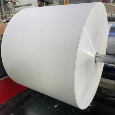 Cina La carta patinata di plastica flessografica rotola la materia prima della tazza di carta da 160 grammi in vendita