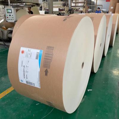 Cina La carta patinata di plastica flessografica rotola la materia prima della tazza di carta da 160 grammi in vendita