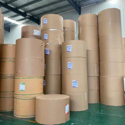 Cina La carta patinata di plastica flessografica rotola la materia prima della tazza di carta da 160 grammi in vendita