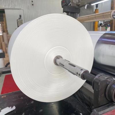 China Wood Pulp PE Coated Paper Roll Smooth Printing Eco Friendly for sale