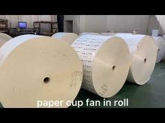FSC Certified Virgin Paper Cup Raw with 4-8 Colors 170g-350g GSM 12gsm or 15gsm PE Weight