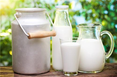 Quality Safe Natural Pure Milk Flavor Powder With Fruit Banana Sweetness for sale