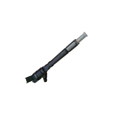 China 0 445 110 290 Bosch Common Rail Injector Fuel Diesel Injection Nozzle Parts 0445110290 for sale