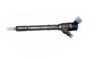 China 0 445 110 290 Bosch Common Rail Injector Fuel Diesel Injection Nozzle Parts 0445110290 for sale