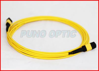 China 12 Array MPO to MPO Fiber Optic Cable , 40Gbps SMF-28e Riser Rated Patch Cord for sale