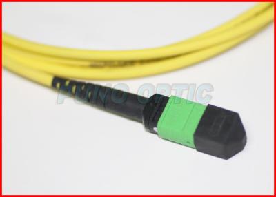 China Dual Jacket 12 Cores MPO Patch Cable , Fiber Optic Jumper 1310nm Wavelength for sale