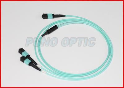 China 100Gbps 24F MTP Fiber Optic Jumper Multimode OM3 Trunk Polarity Straight A for sale