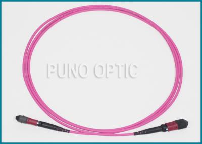 China 24 Cores MTP Patch Cable / Fiber Optic Jumper Multimode OM4 MMF Rose Color for sale