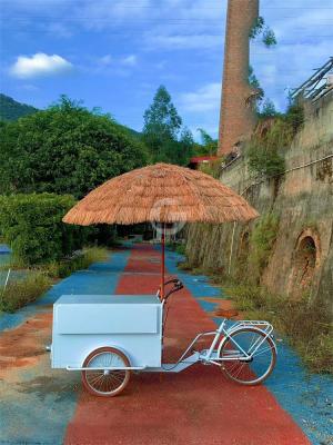 Cina Frutta Materie prime Caffè Triciclo Gelato Camionetto alimentare con CE Mobile Pancake Food Truck in vendita