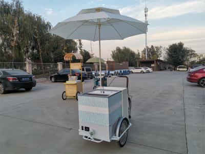 Cina 214*83*240cm Bicicleta da caffè commerciale per bevande calde e tè Triciclo in acciaio inossidabile in vendita