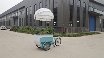 Cina Camioncini alimentari mobili da 100 kg Produzione professionale e facile da usare per l'efficienza in vendita
