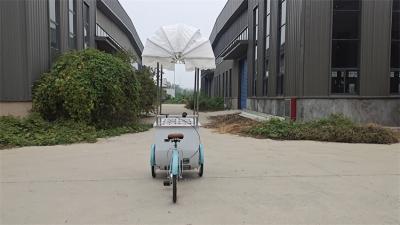Cina Triciclo elettrico 3 ruote carrello mobile per gelato caffè pedale congelatore consegna bicicletta in vendita