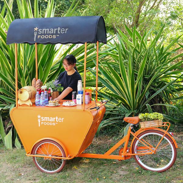 Quality 230*94*210cm Street Snack Food Cart Tricycle for Easy Mobile Food Vending Market for sale