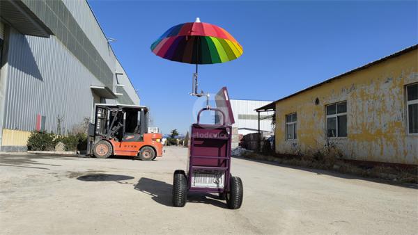 Quality Fast Food Customized Counter Ice Cream Push Cart with Logo Enhance Your Business for sale