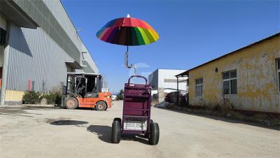 China Hand Push Food Cart for Street Vending 830*650*2200mm Size 220v/110v Voltage for sale
