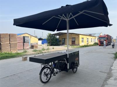 China Soybean Raw Material Heavy-Duty Bike Cart for Groceries and Errands for sale