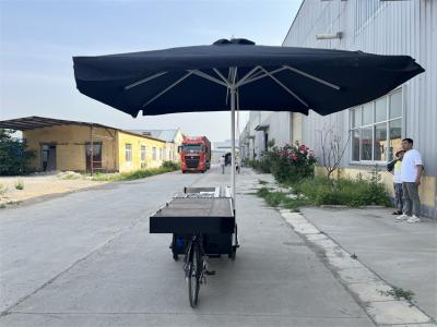 Cina Triciclo elettrico fast food con alta produttività e attrezzature di cottura personalizzate in vendita