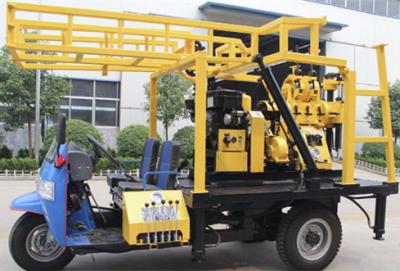 Cina perforatrice montata camion geologico di esplorazione di 600m in vendita