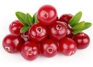 China Factory Supply best price 100% Pure Natural Cranberry Extract for sale
