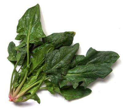 China High Quality Pure Natural Oganic powder 10:1 Spinach extract(Spinacia Oleracea Extract) for sale
