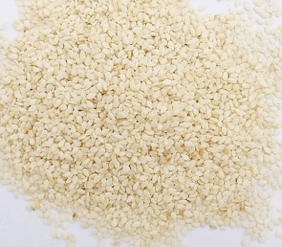China Factory Supply Free Sample High Quality white sesame seed extract/Semen Sesami Nigrum 10:1 for sale