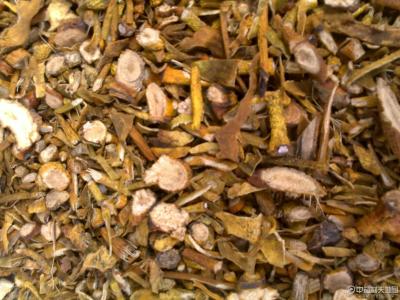 China Mistletoe extract for sale