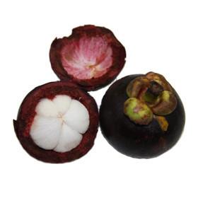 China Natural Mangosteen extract / Mangosteen Extract Powder / Mangosteen P. E. /Mangostin for sale