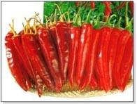 China Arthritis and Analgesic product Capsicum Powder 95% Capsaicin – Pharmaceutical for sale