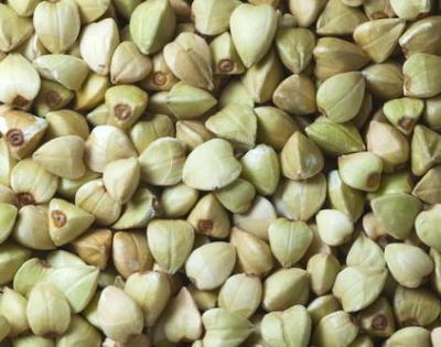 China Factory supply bulk Total Isoflavone 30% 10:1 Buckwheat Extract for sale