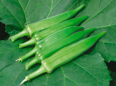 China Abelmoschus manihot extract/Abelmoschus esculentus extract for sale