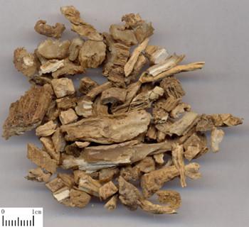China Radix Stemonae Extract/ STEMONA ROOT PE for sale